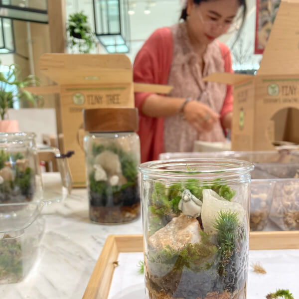Tiny Tree | Terrarium | Bangkok | ClassBento